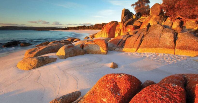 From Launceston: Bay of Fires Hiking Tour - 4 Days - The Value of This Tour