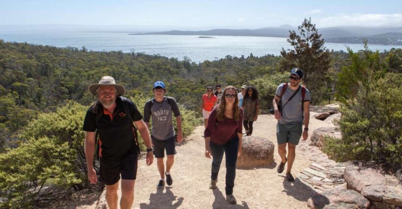 From Launceston: Full-Day Wineglass Bay Explorer Active Tour - A Full-Day Journey Through Tasmania’s Iconic Spots
