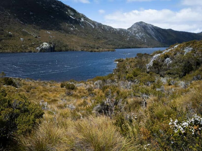 From Launceston: Sheffield Murals & Cradle Mountain Day Tour - Key Points