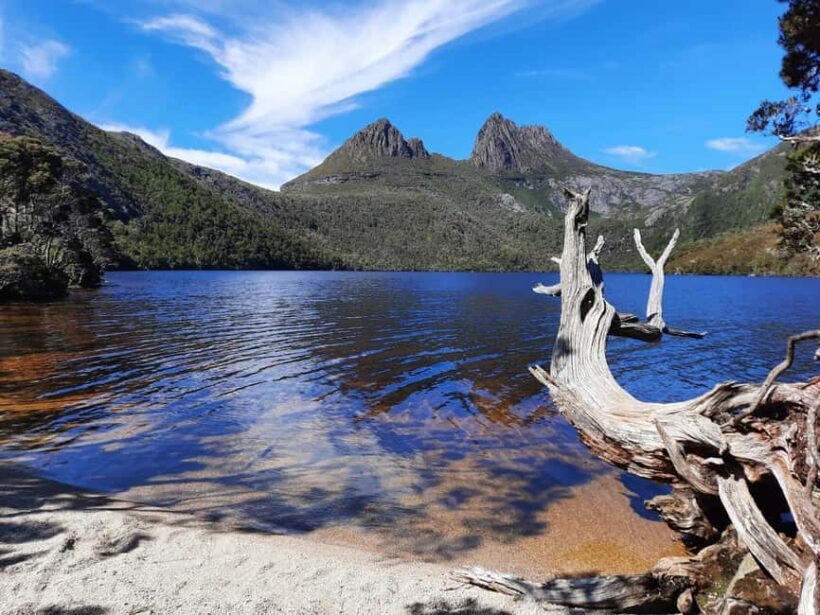 From Launceston: Sheffield Murals & Cradle Mountain Day Tour - Who is This Tour Best For?
