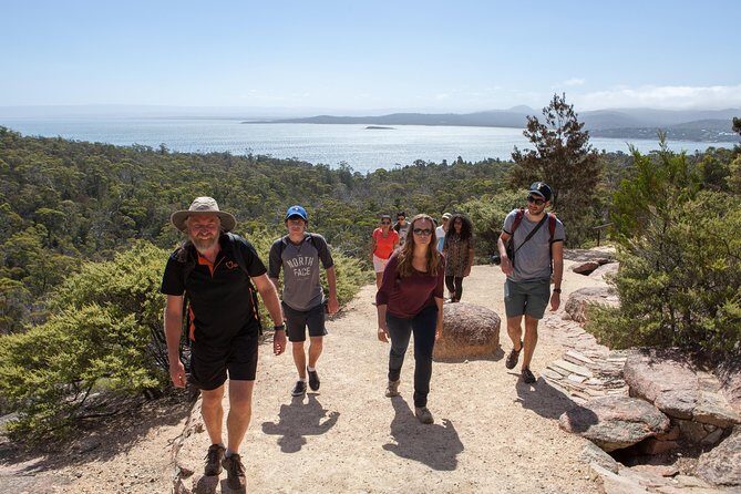 From Launceston: Wineglass Bay Explorer - Active Day Trip - Key Points