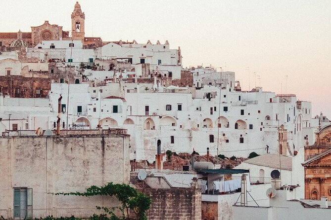 From Lecce: Alberobello, Locorotondo, Ostuni & Apulian Brunch - Knowledgeable Guide and Tour Activities