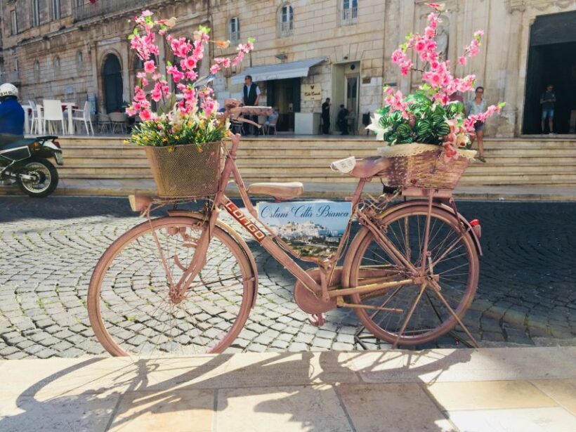 From Lecce: Ostuni, Alberobello, Polignano Tour - Who Will Love This Tour
