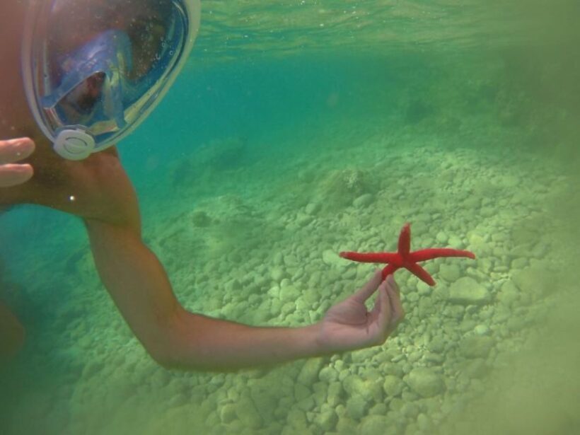 From Lefkada: Half-Day Kayak Tour to Meganisi Island - Who Should Consider This Tour?
