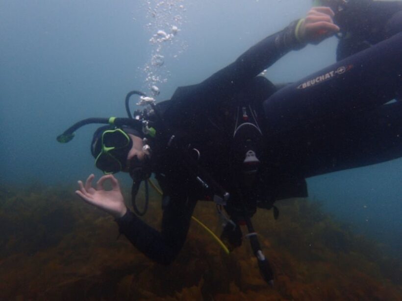 From Leigh: Goat Island Try Scuba Diving Experience - Key Points