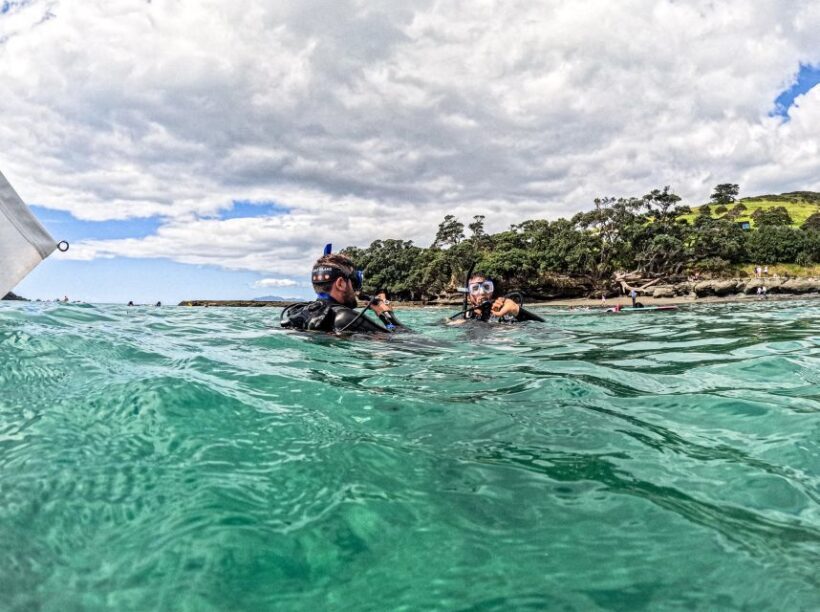 From Leigh: Goat Island Try Scuba Diving Experience - Practical Tips for Participants