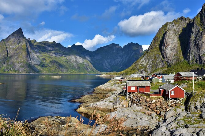 From Leknes port: Special Summer Guided Tour of Lofoten - Who Is This Tour Best For?
