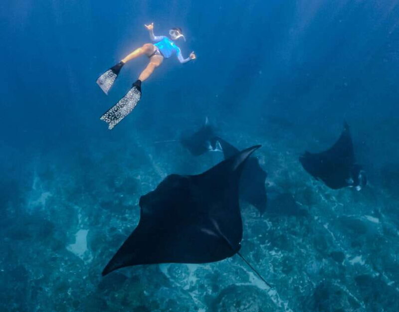 From Lembongan: Full Day Private Boat Snorkeling Nusa Penida - Value and Practicalities