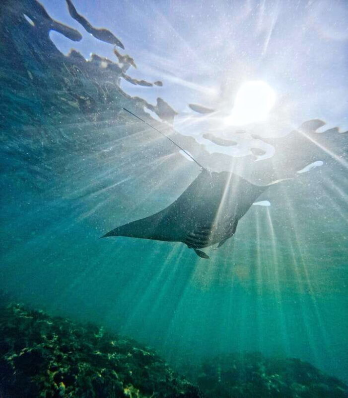 From Lembongan: Full Day Private Boat Snorkeling Nusa Penida - Final Thoughts