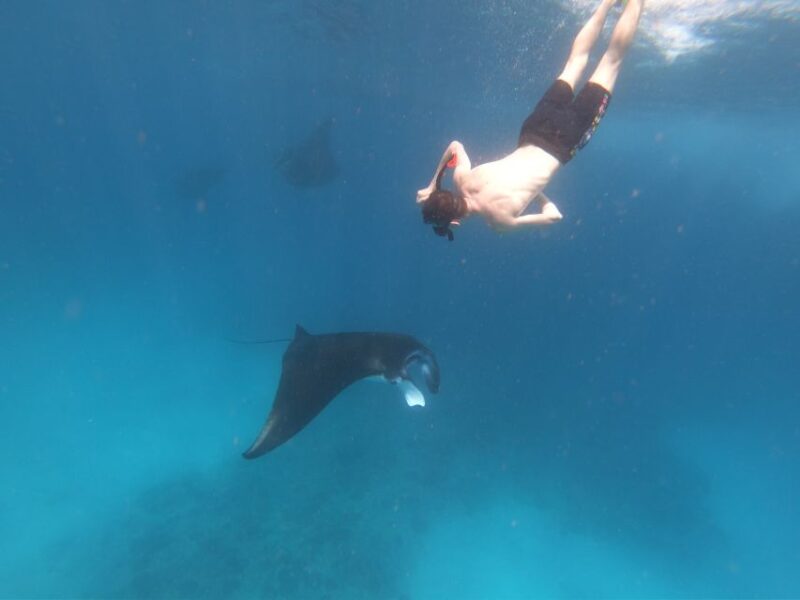 From Lembongan: Nusa Penida Snorkeling Day Trip - An Honest Breakdown of the Experience