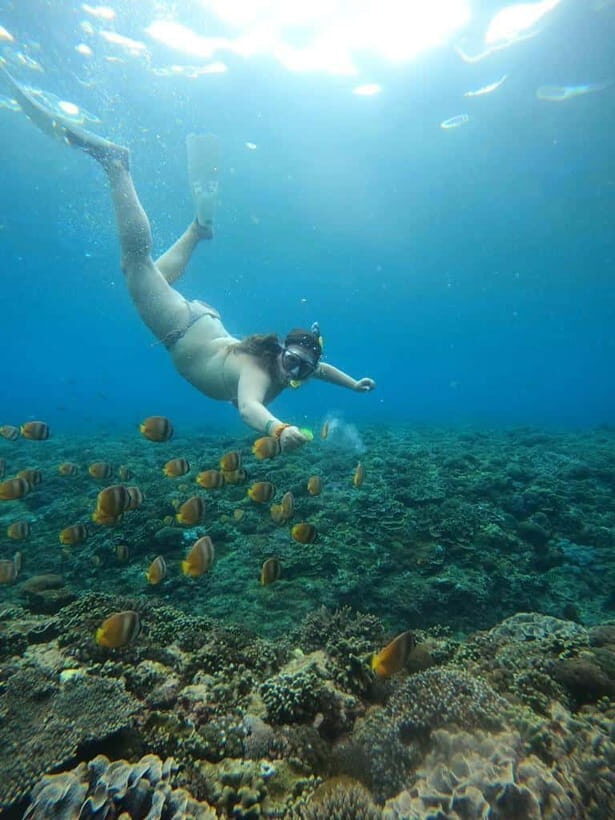 From Lembongan: Private Snorkeling Tour To Nusa Penida - FAQs