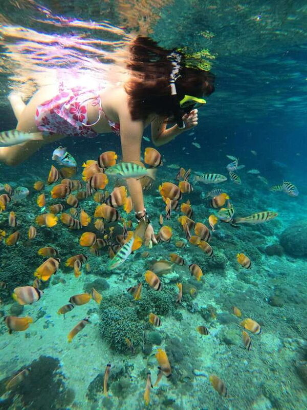 From Lembongan: Snorkeling 3 Spots, Mangrove and Land Tour - Why This Tour Offers Good Value