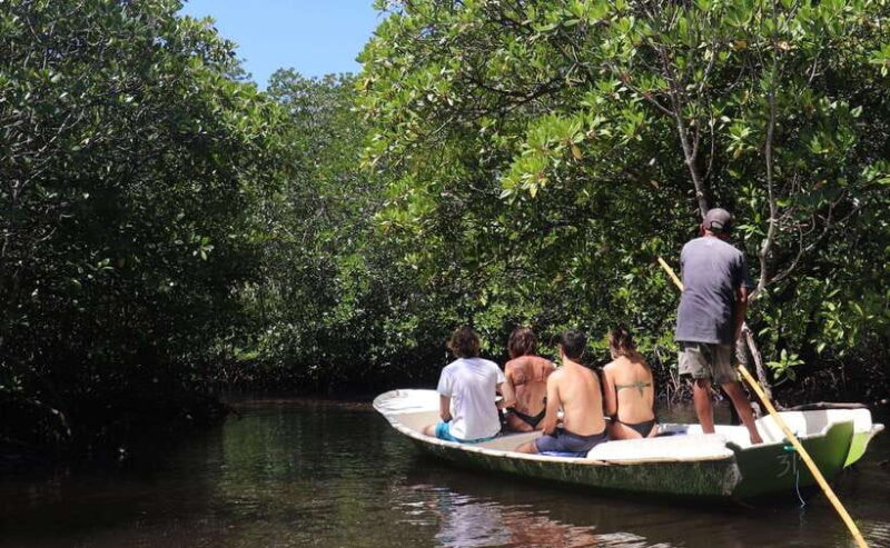From Lembongan: Snorkeling 3 Spots, Mangrove and Land Tour - How the Experience Feels Day-to-Day