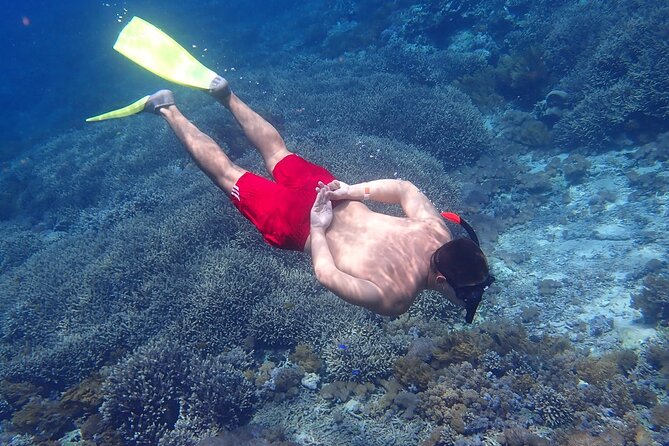 From Lembongan: Snorkeling Day Trip to Nusa Lembongan & nusa Penida island - What Makes This Tour Stand Out