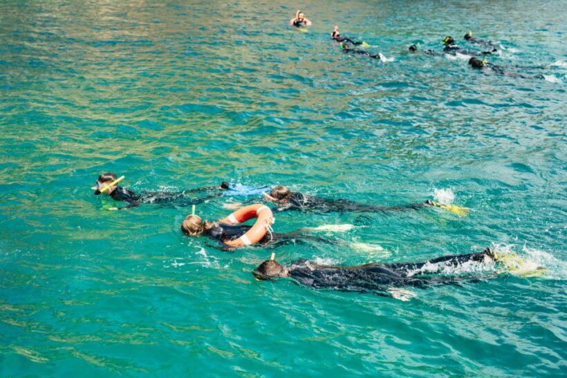 From LEstartit: Snorkeling Trip to the Medes Islands - A Deep Dive into the Snorkeling Trip Experience