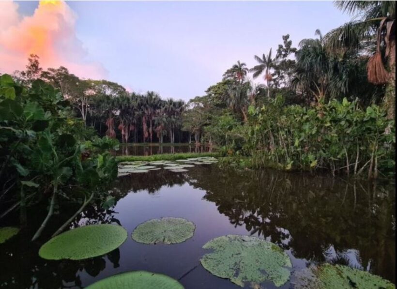 From Leticia: Escape to the Amazon 3-Day Tour - Authentic Experiences & Genuine Perspectives