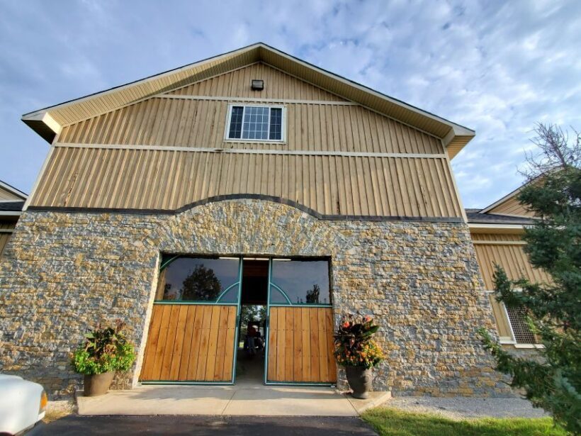From Lexington: Kentucky Horse Farms Tour - An In-Depth Look at the Kentucky Horse Farms Tour