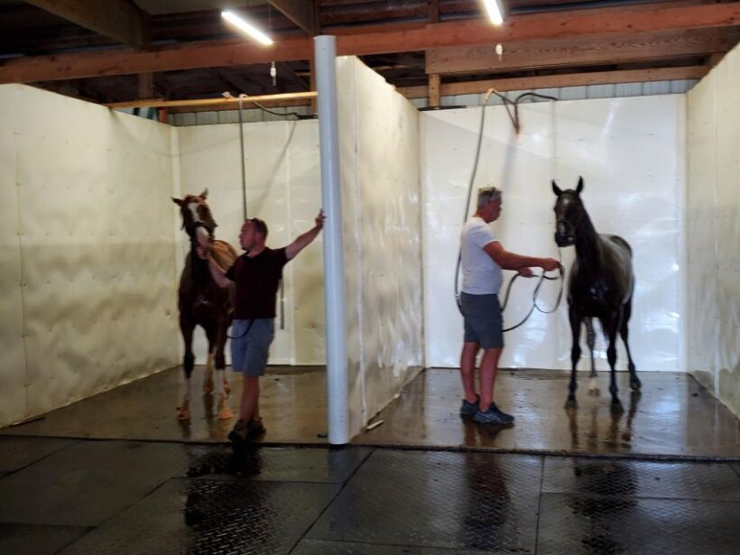 From Lexington: Kentucky Horse Farms Tour - Final Thoughts