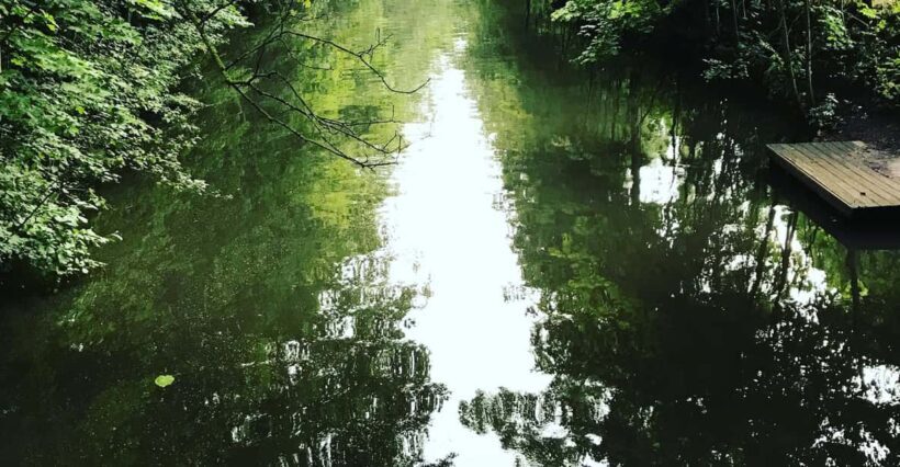 From Lilienthal: Full-Day Canoe Rental that Ends in Bremen - What It’s Like to Paddle Wümme