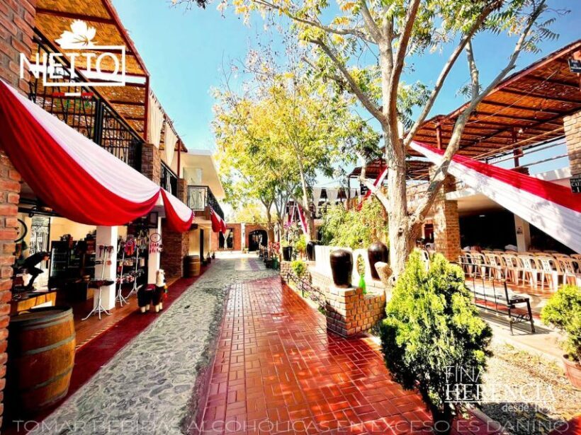 From Lima 2 days 1 night, Ballestas,Huacachina & Nazca lines - What’s Included and What You Should Consider