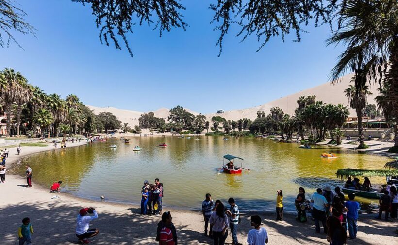 From Lima: Ballestas Islands, Huacachina, and Vineyard Tour - Return to Lima