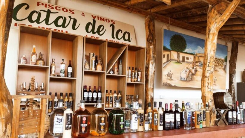 From Lima: city tour in Ica and visit the Huacachina oasis - An In-Depth Look at the Tour Experience