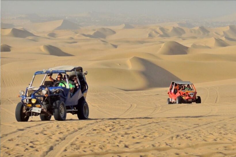 From Lima: Day trip to Paracas, Ica and Oasis Huacachina - The Thrill of Huacachina Oasis