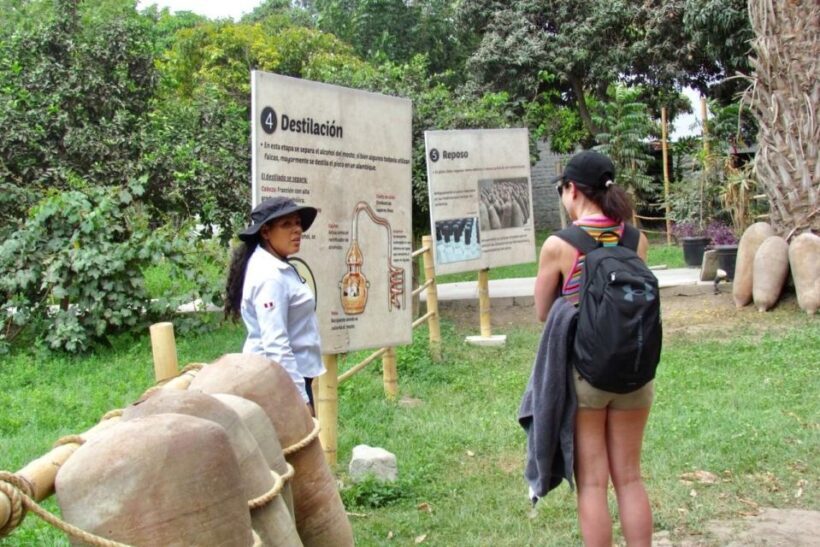 From Lima: Day trip to Paracas, Ica and Oasis Huacachina - Final Thoughts