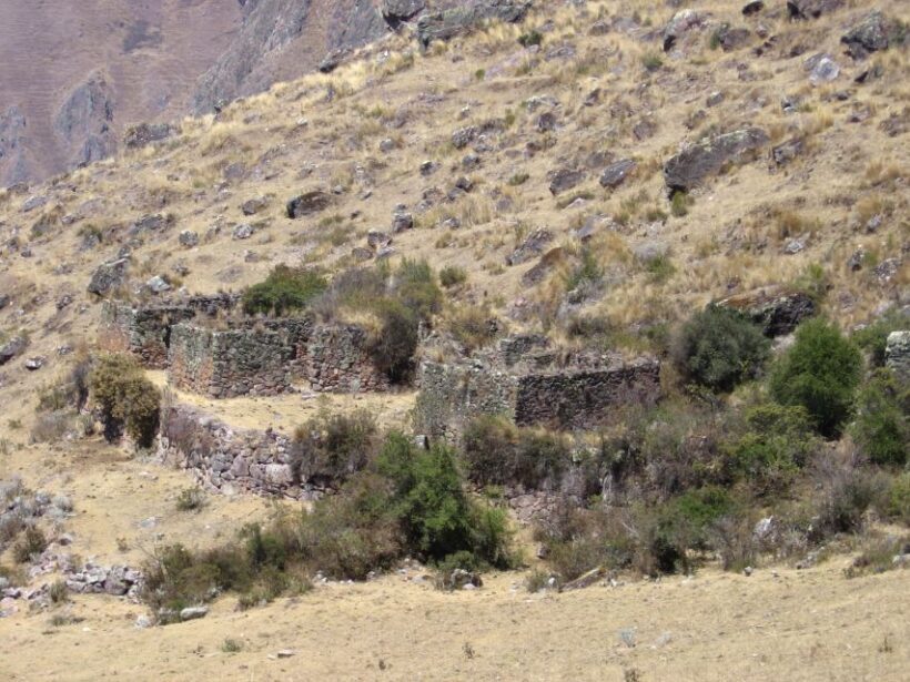 From Lima: Full-Day Tour to Ica and Huacachina Lagoon - The Sum Up