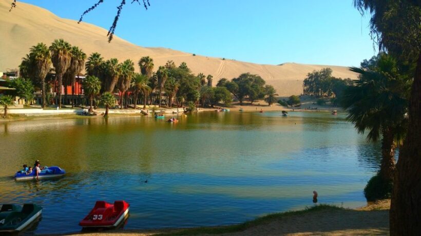 From Lima: Huacachina Oasis Tour, Winery & Desert Sunset - Exploring the Ica Region from Lima