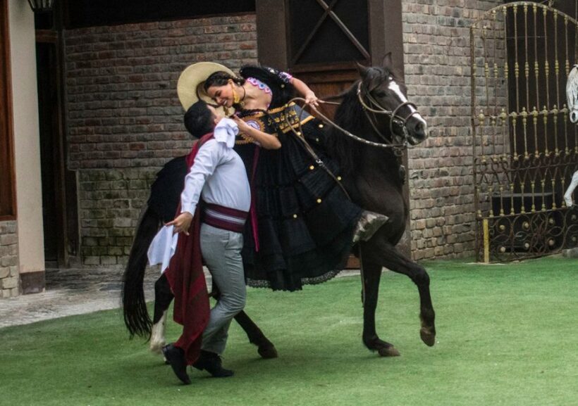 From Lima: Pachacamac Archaeological Tour & Lunch Show - Key Points