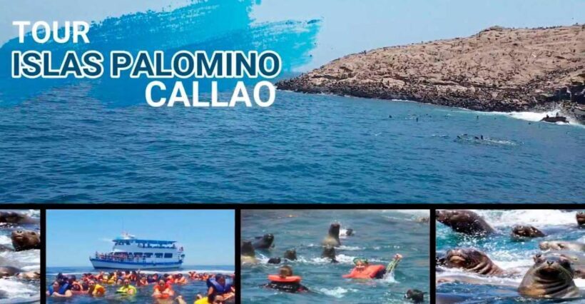 From Lima: Palomino Islands - FAQ