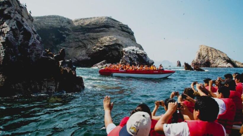 From Lima: ParacasHuacachina and Nazca Lines 2 Days/1 Night - Key Points