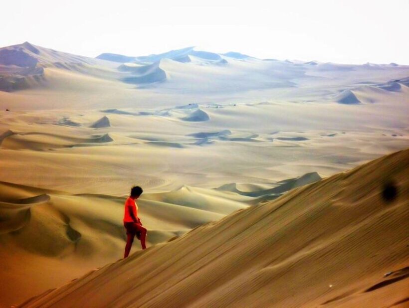 From Lima:Paracas Ballestas Islands and Ica Oasis 1 day Tour - Key Points