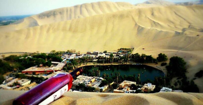 From Lima:Paracas Ballestas Islands and Ica Oasis 1 day Tour - An In-Depth Look at the Tour Experience