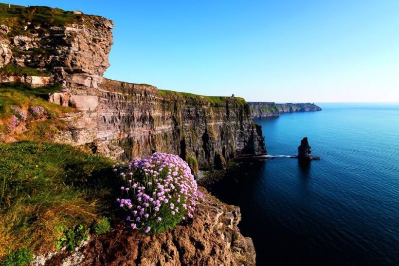 From Limerick: Full-Day Guided Tour of Cliffs of Moher - Frequently Asked Questions