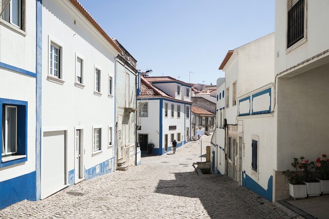 From Lisboa: Mafra, Ericeira & Queluz Private Full Day Tour - Transportation and Comfort