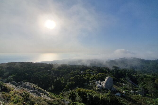 From Lisboa: Sintra, Cabo Da Roca & Cascais Private Full Day Tour - Customer Reviews