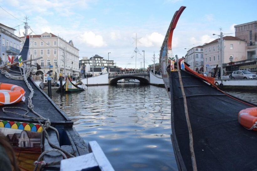From Lisbon: Aveiro and Coimbra Food Experience - Key Points