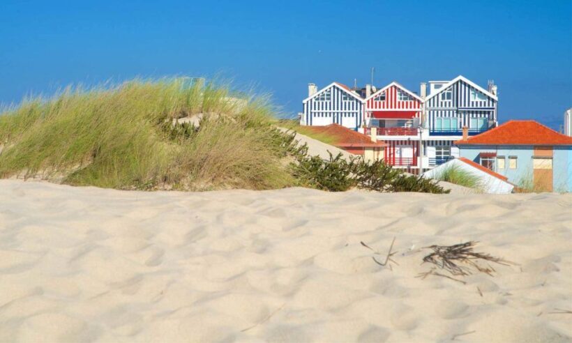 From Lisbon: Aveiro, Moliceiro Boat and Coimbra Tour - Key Points