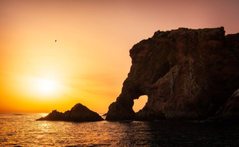 From Lisbon: Berlenga Grande Island Private Tour - Key Points