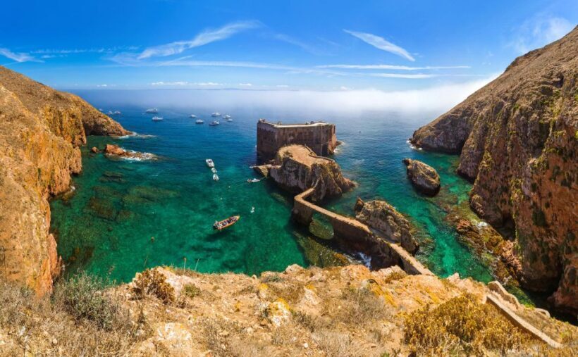 From Lisbon: Berlenga Grande Island Private Tour - Who Should Consider This Tour?