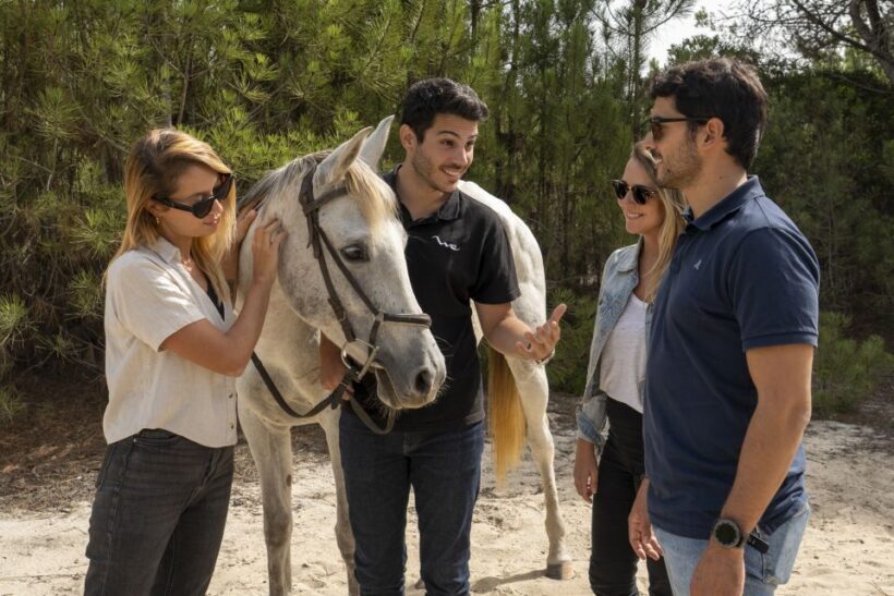 From Lisbon: Comporta and Setúbal Trip with Horseback Riding - The Final Word