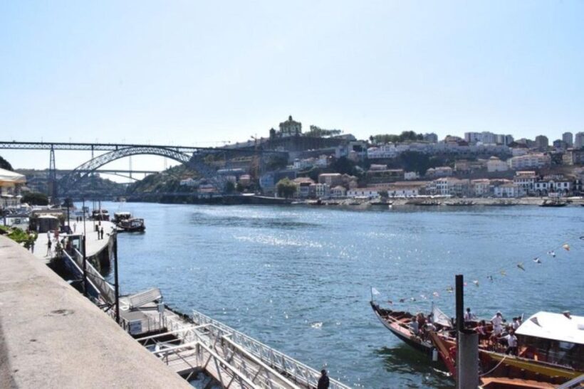 From Lisbon: Douro Valley and Porto Town Experience - What We Love and Consider