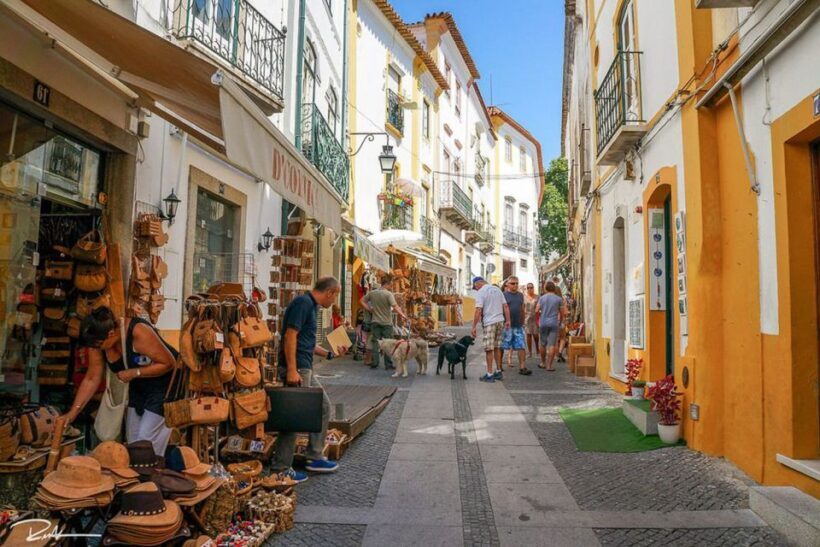 From Lisbon: Évora City Private Tour - Who Will Love This Tour?