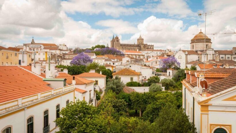 From Lisbon: Évora Tour with Wine Tasting included - An In-Depth Look at the Tour Experience