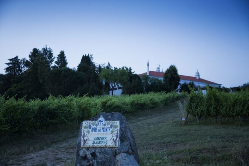 From Lisbon: Évora Wine & Heritage Tour - Who Should Consider This Tour?
