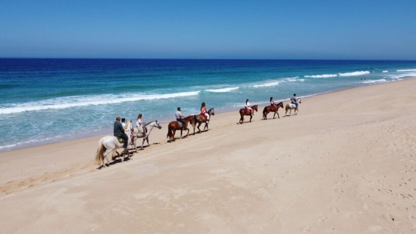From Lisbon: Horseback Riding on Comporta Beach - The Sum Up