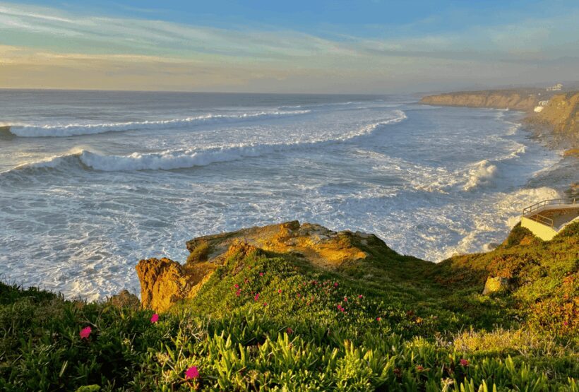 From Lisbon: Mafra Palace and Ericeira - Heritage and the Portuguese Coast - What Past Travelers Say