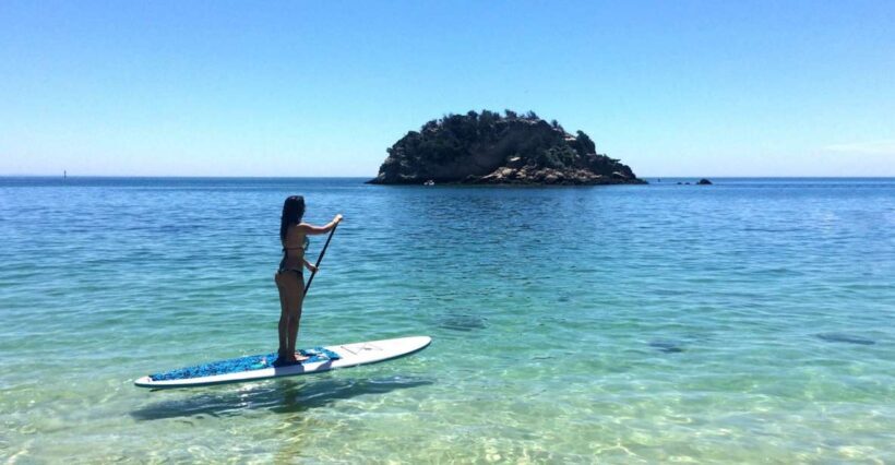 From Lisbon: Nature Park of Arrábida Paddleboarding - Who Should Consider This Tour?
